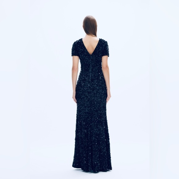 Rachel Gilbert | Dresses | Rachel Gilbert Nixie Gown Sequin Embellished ...